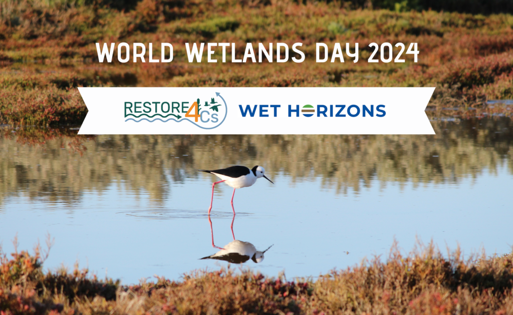 World Wetlands Day 2024