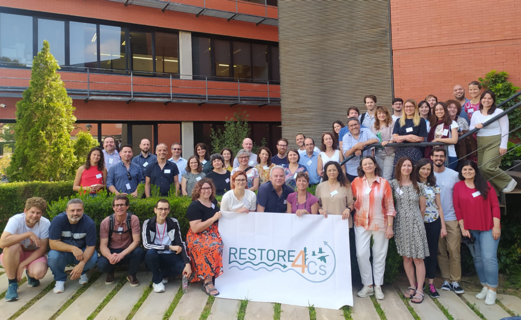 Sustainable management of wetlands: the RESTORE4Cs project